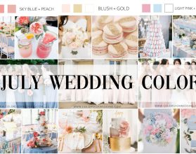 20 Navy and Blush Wedding Theme & Color Ideas - Colors for Wedding
